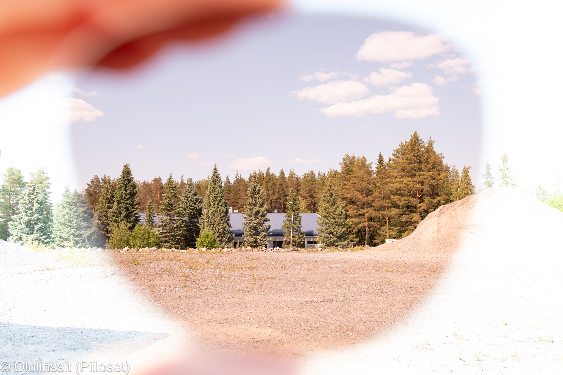 Auringossa tummuvat linssit