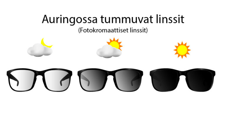 Auringossa tummuvat linssit